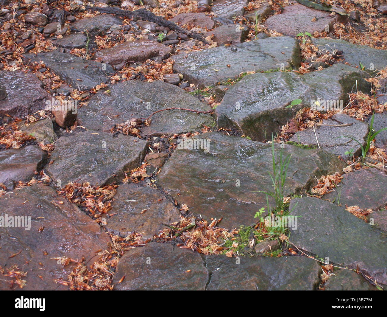 Impassable way hi-res stock photography and images - Alamy