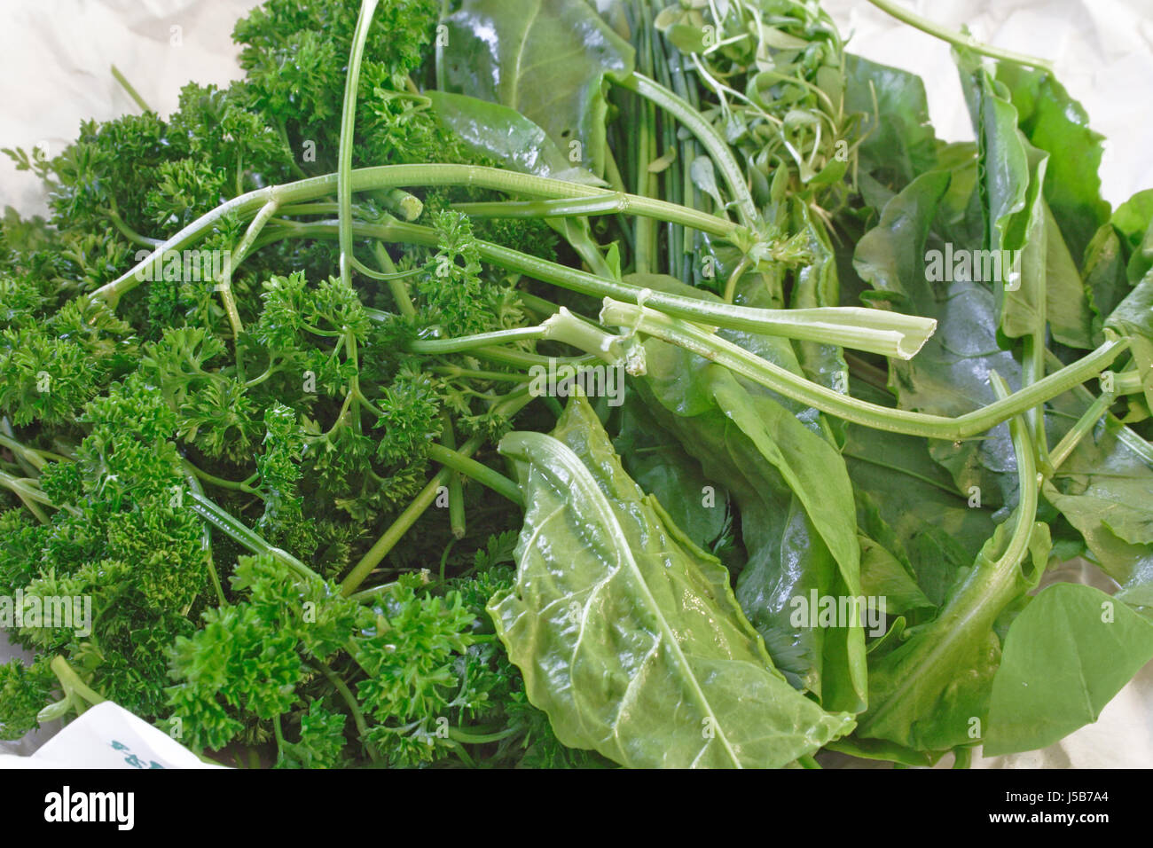 Saueramfper hi-res stock photography and images - Alamy