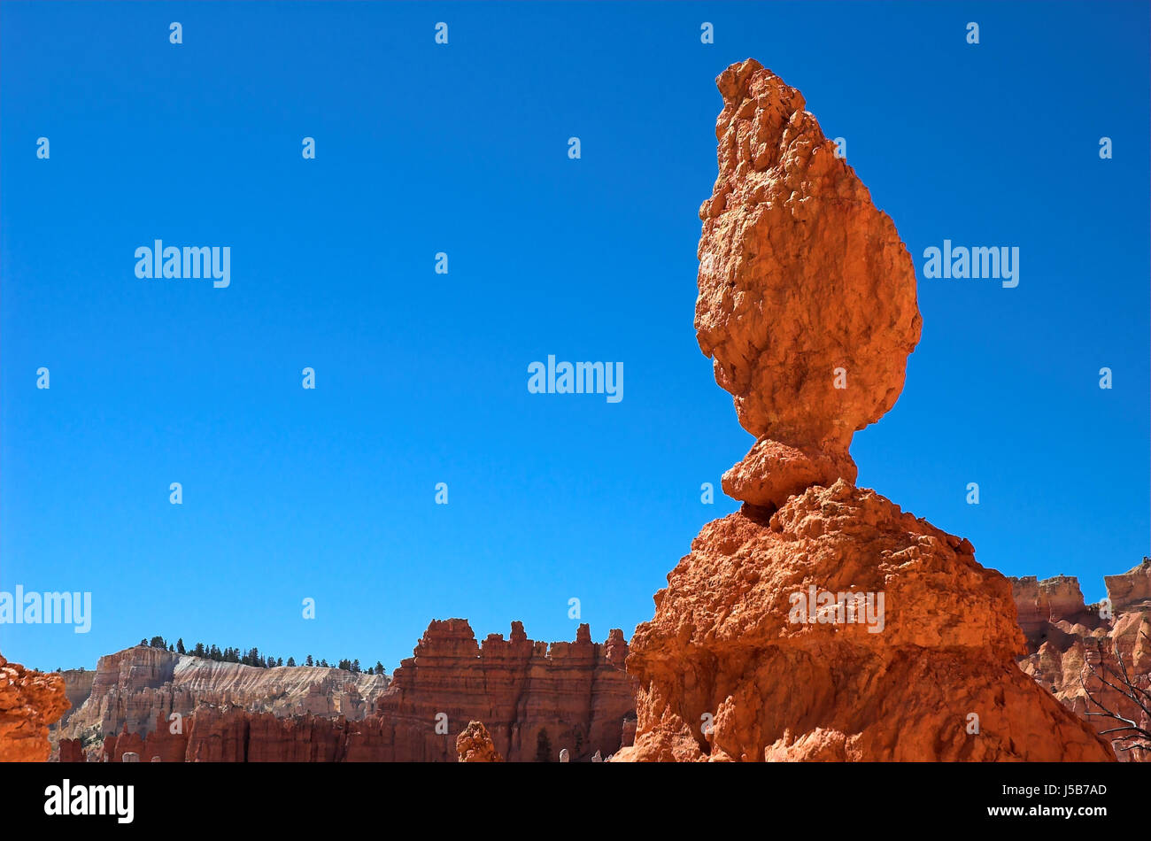 for how much longer Stock Photo - Alamy