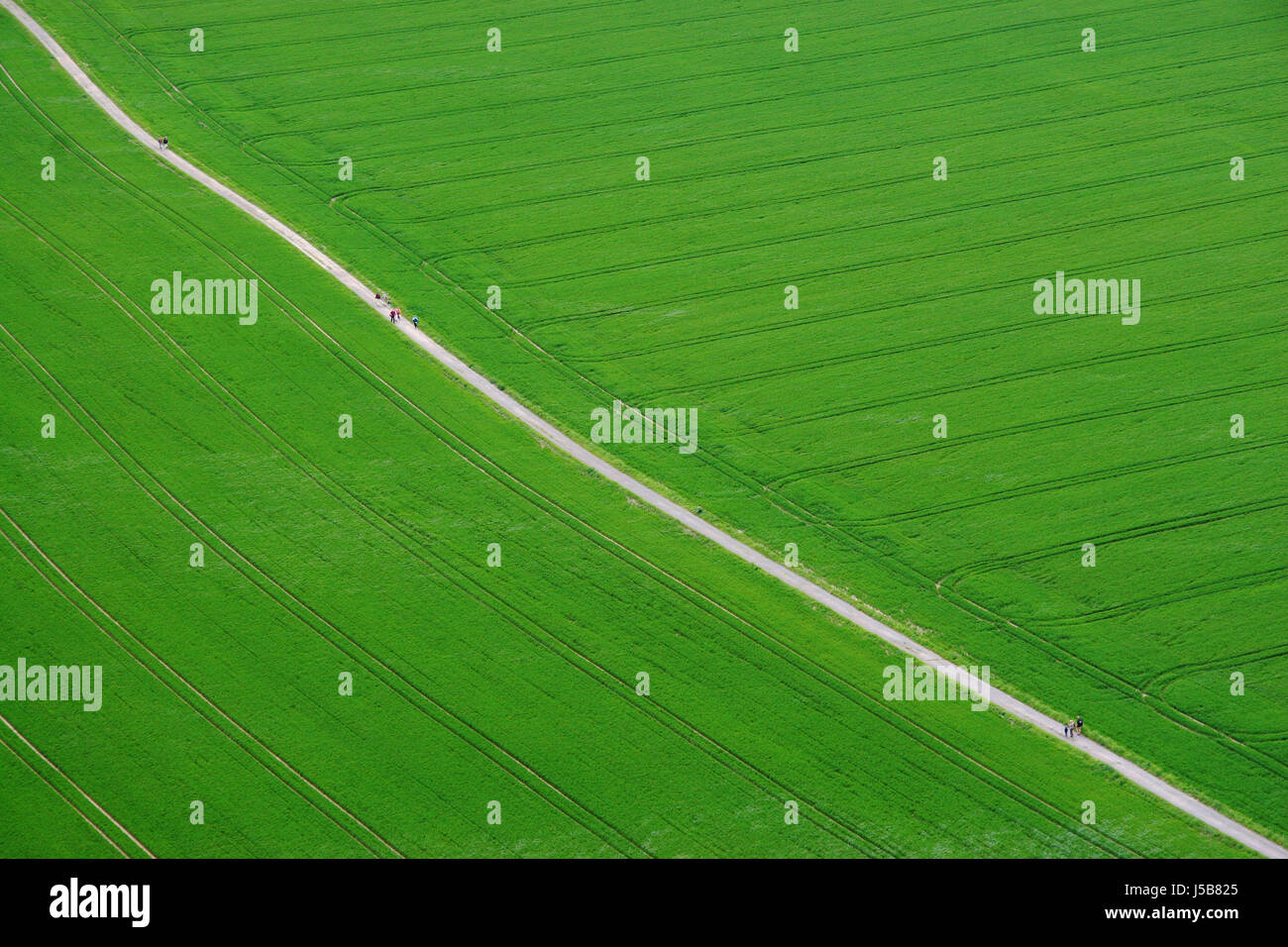 aerial perspective fields meadows aerial photograph path way scenery ...