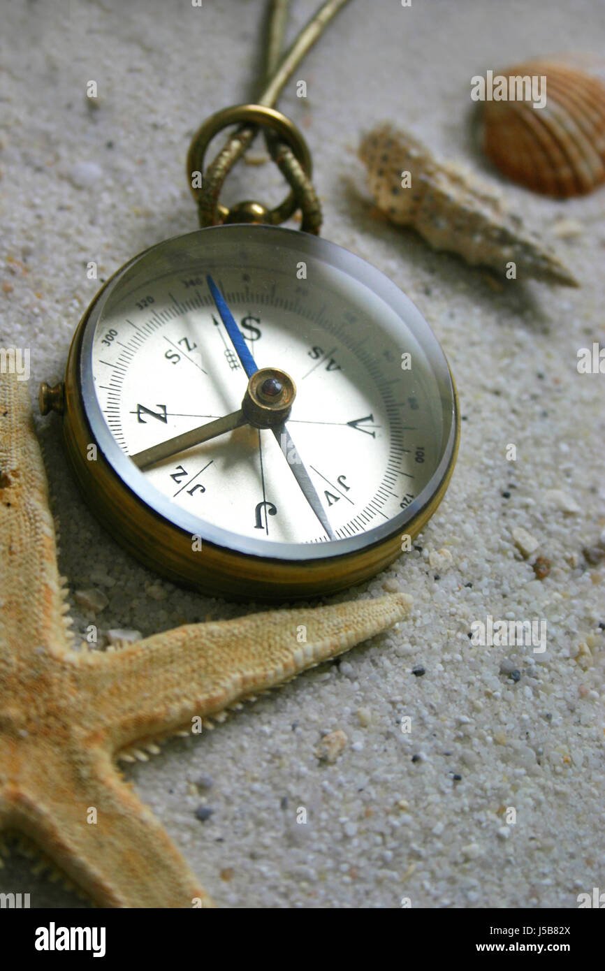 nostalgia beach seaside the beach seashore sail shell pointer adventure ...