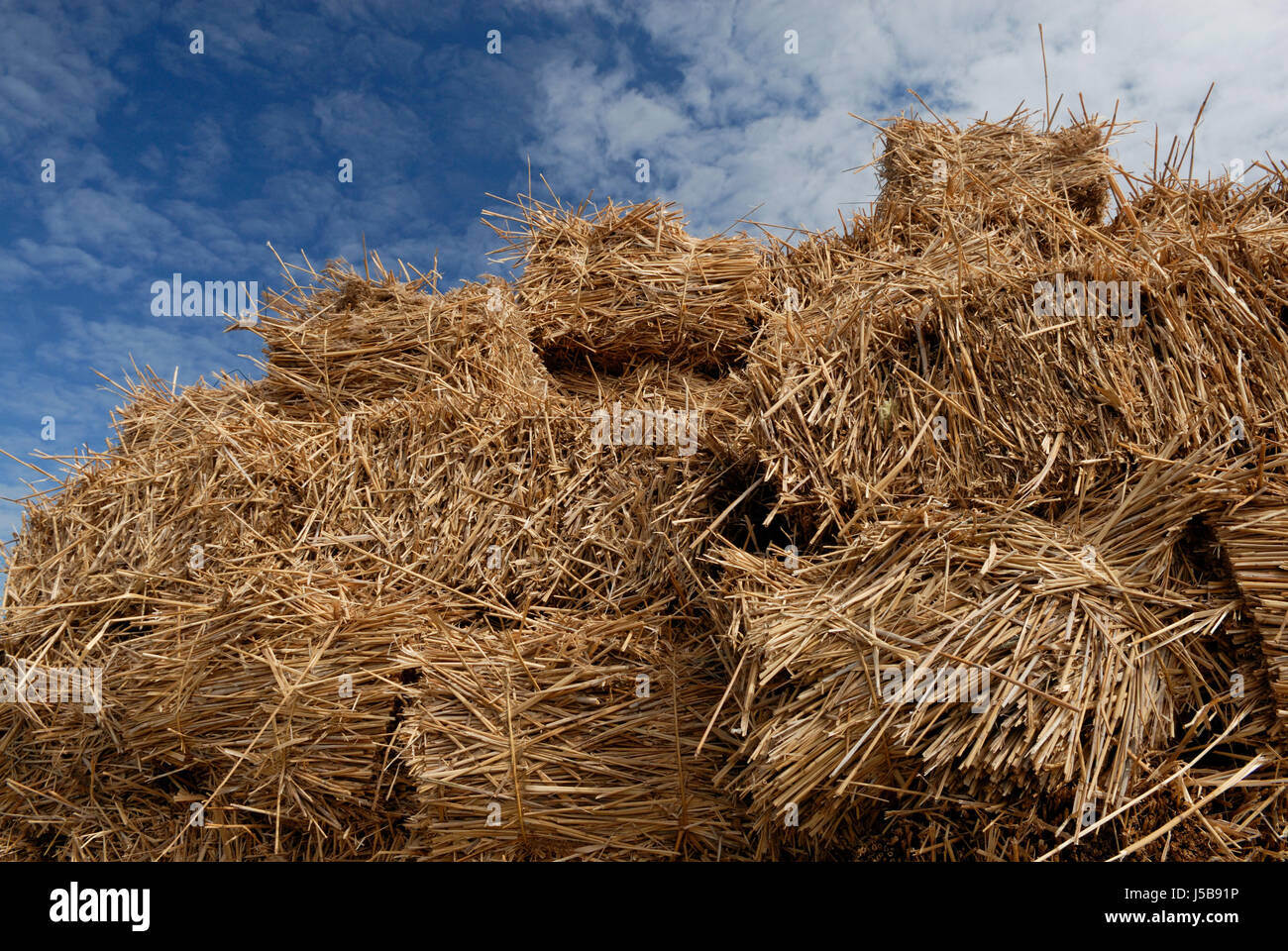 fodder agriculture farming field livestock barn feed stack straw ball ...