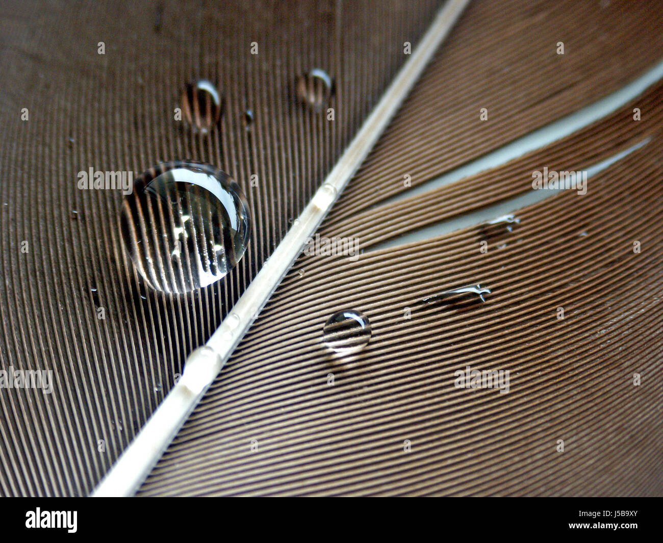 Drop keel hi-res stock photography and images - Alamy