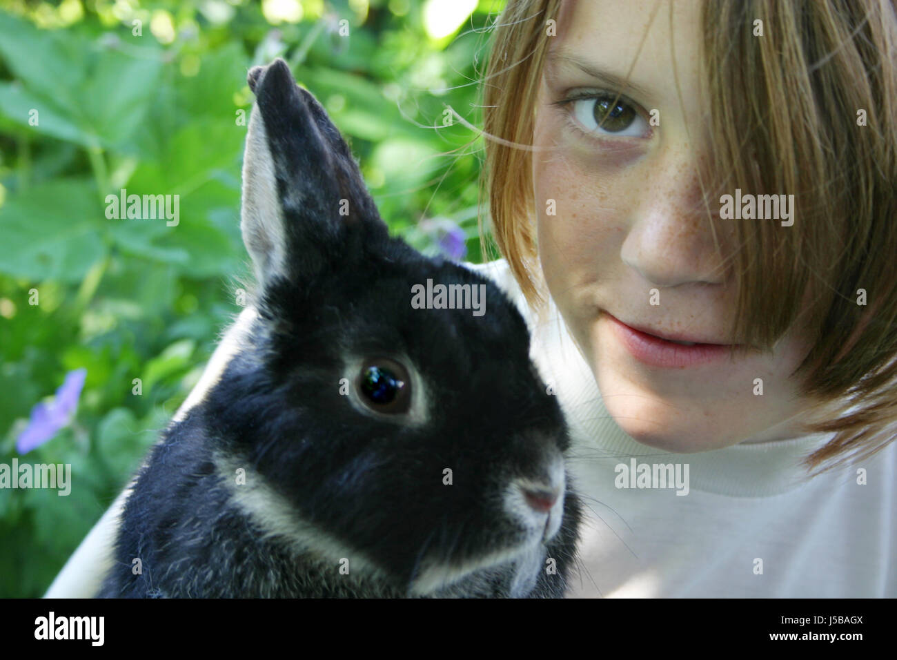 pet eyes affection hare snatch child bunny girl girls laugh laughs ...