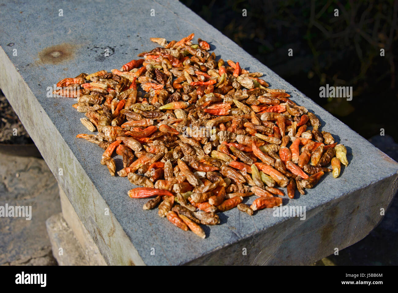 Chili drying in the ancient village of Xidi, Anhui, China Stock Photo ...