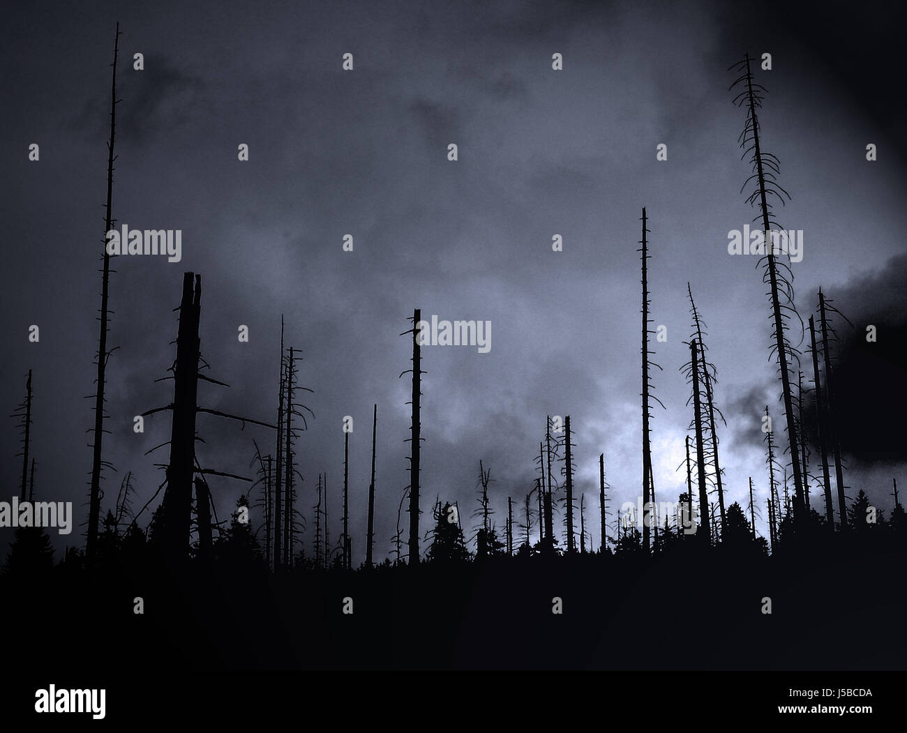 death night nighttime moon tribes moonlight shine dead shaddow shadow ...