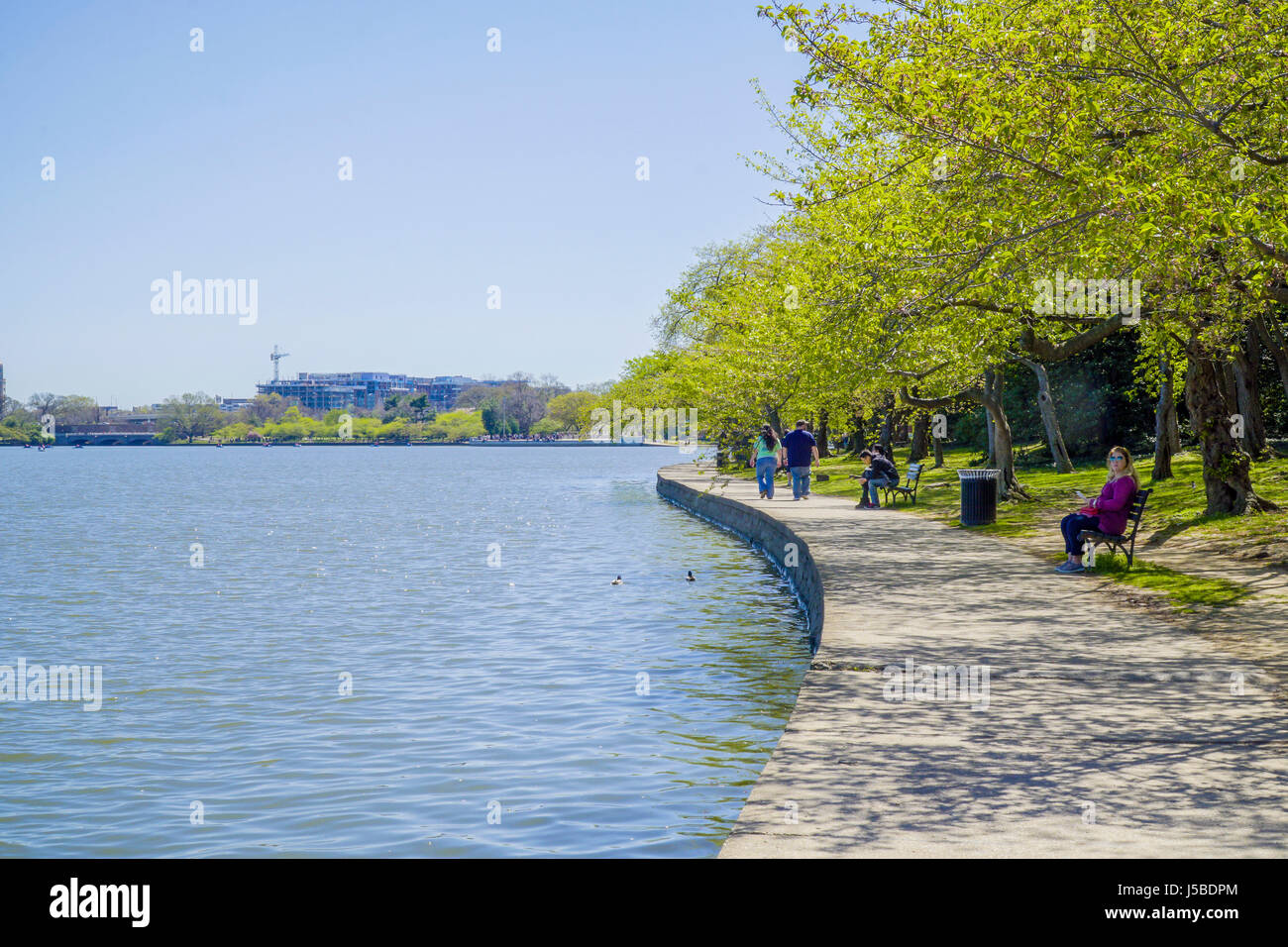 Walking around the Tidal Basin in Washington - WASHINGTON DC - COLUMBIA ...