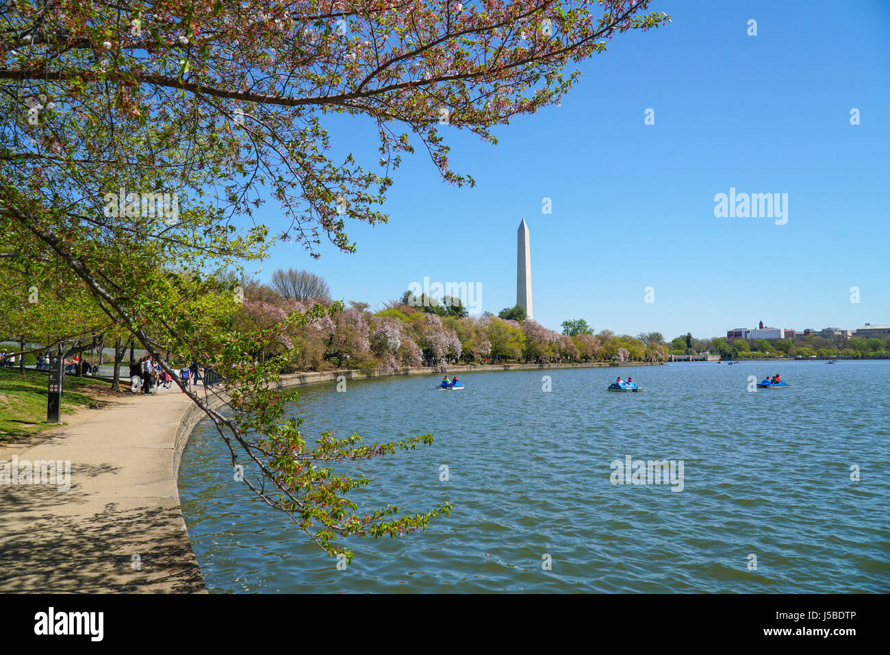 Tidal basin landmarks hi-res stock photography and images - Alamy