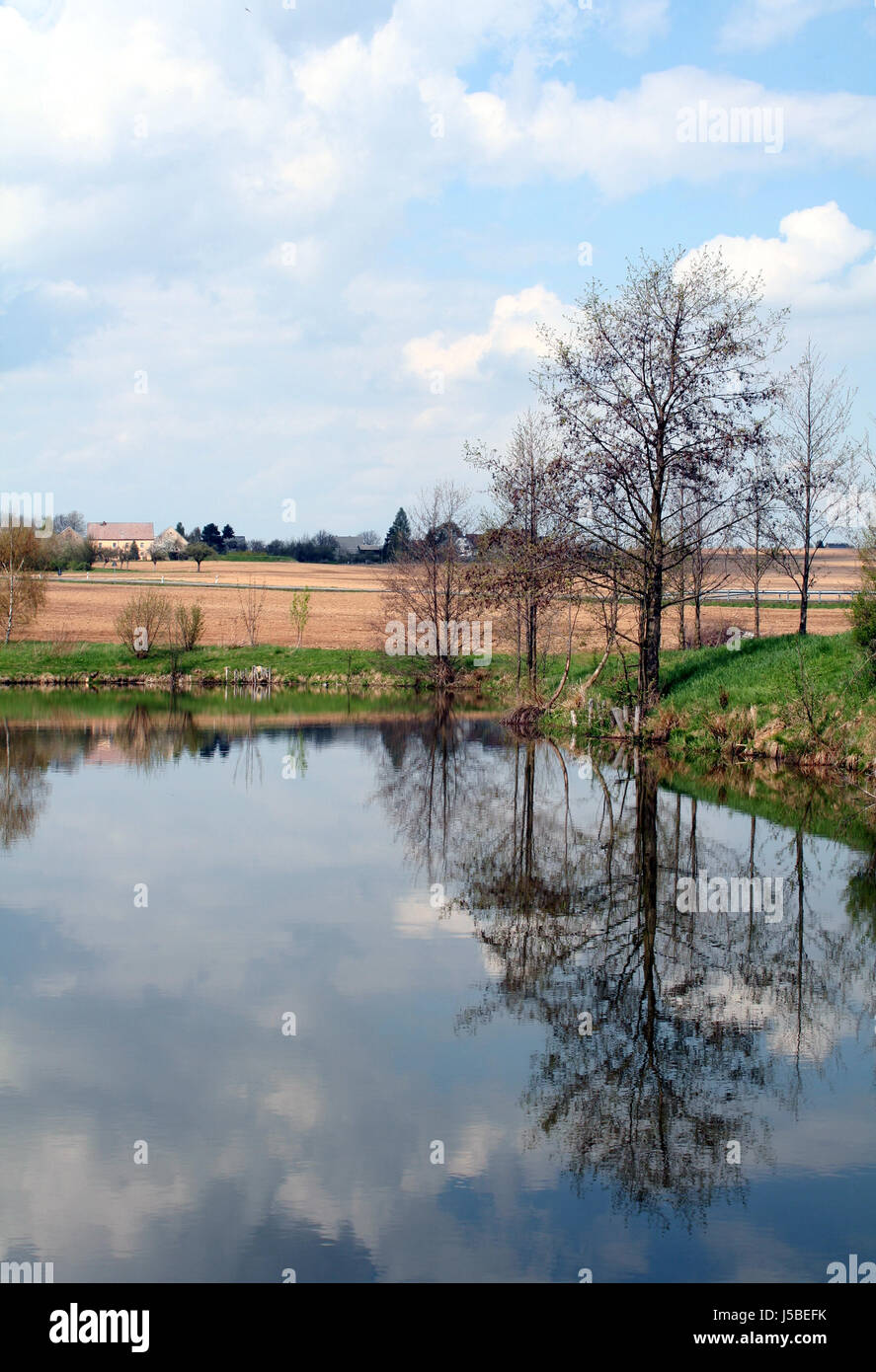 bucolic field mirroring biotop fresh water pond water surface of the ...