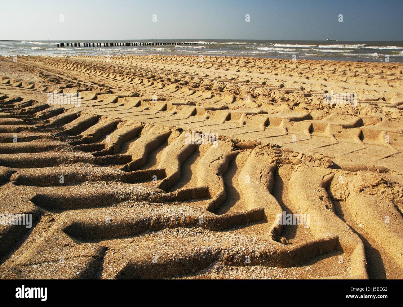 profile beach seaside the beach seashore water north sea salt water sea ...