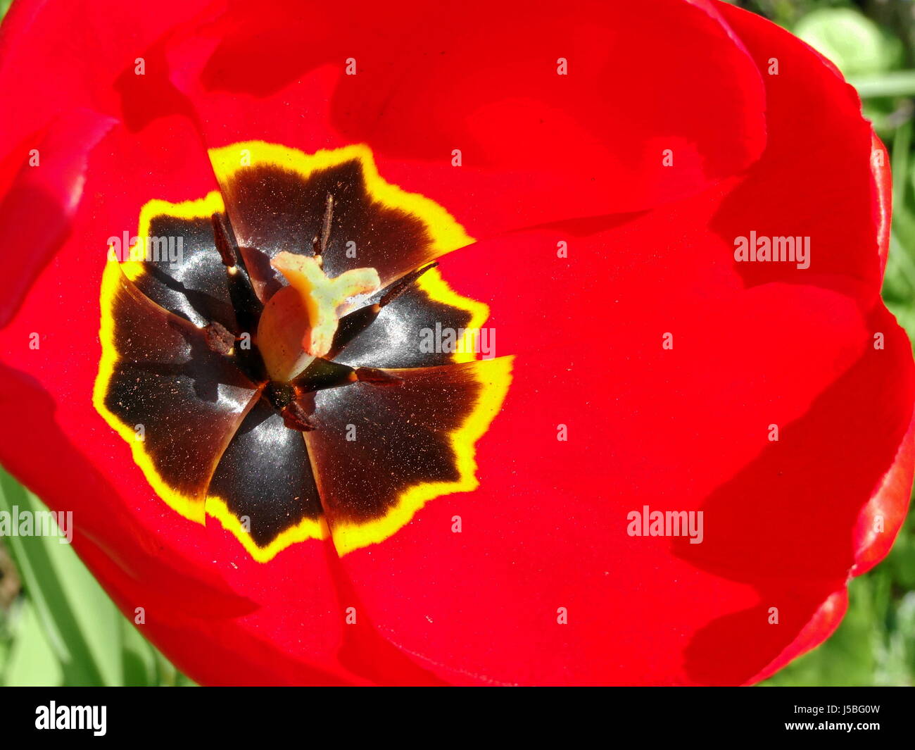great pattern inside Stock Photo - Alamy