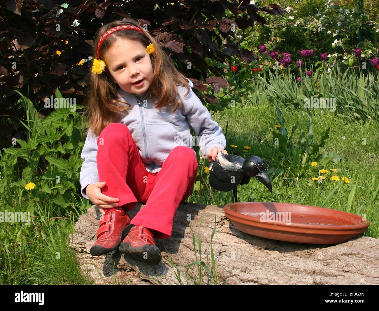 Lara flower hi-res stock photography and images - Alamy