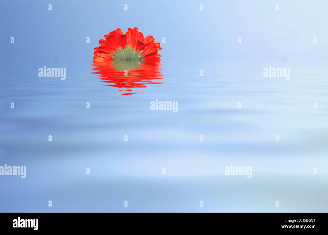 Bye the water hi-res stock photography and images - Alamy