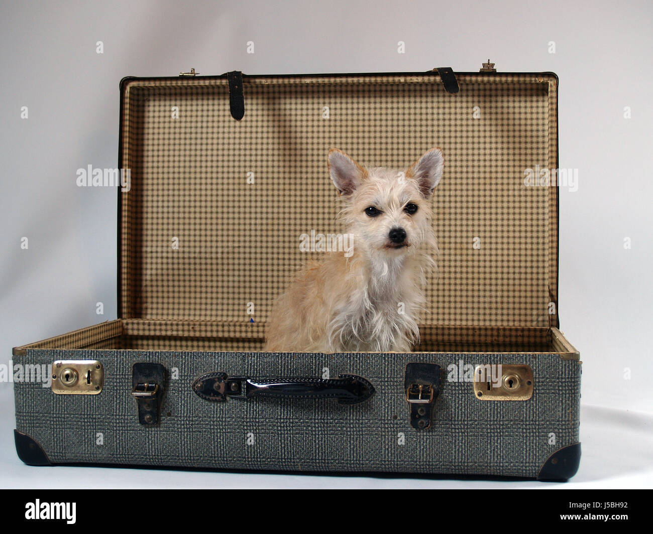 run of house Stock Photo - Alamy