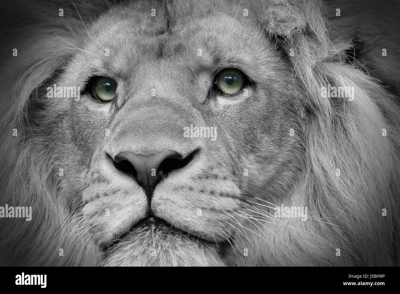 danger big large enormous extreme powerful imposing immense relevant ...