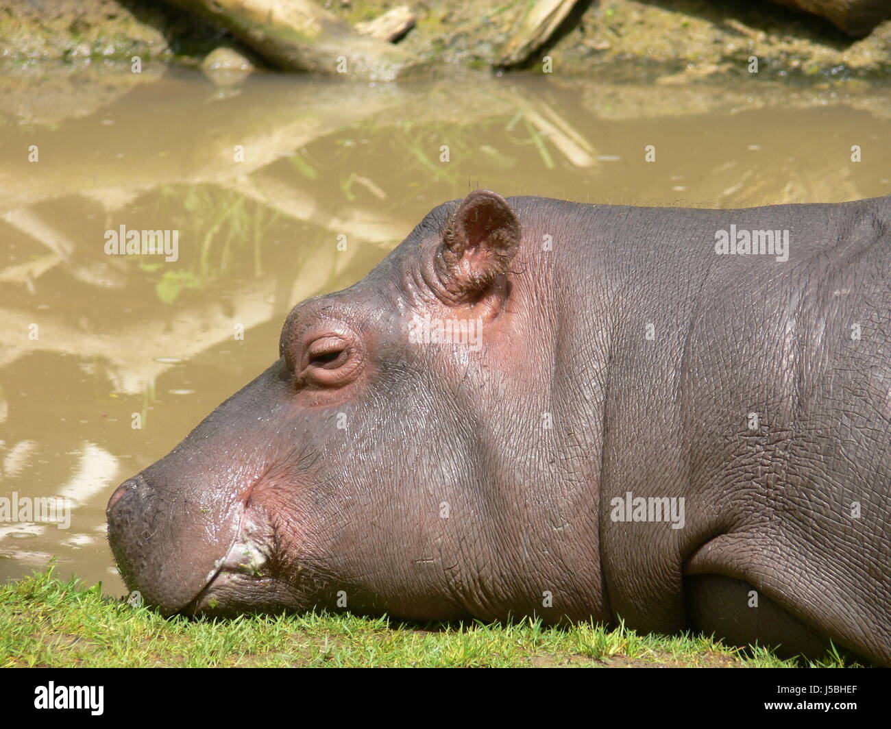 it's so nice and warm Stock Photo - Alamy