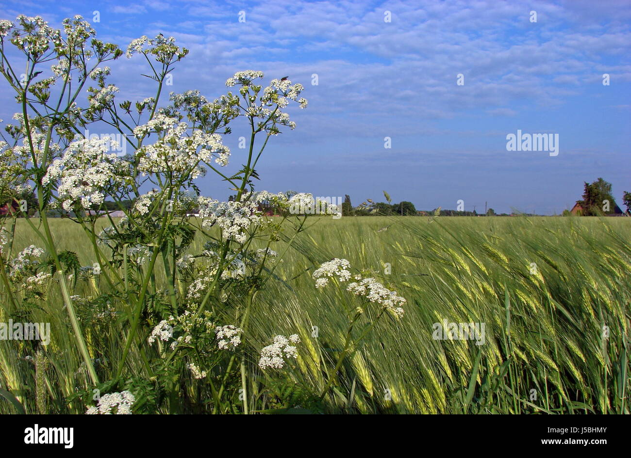 agriculture farming acre farm emblements seeds meadow community village ...