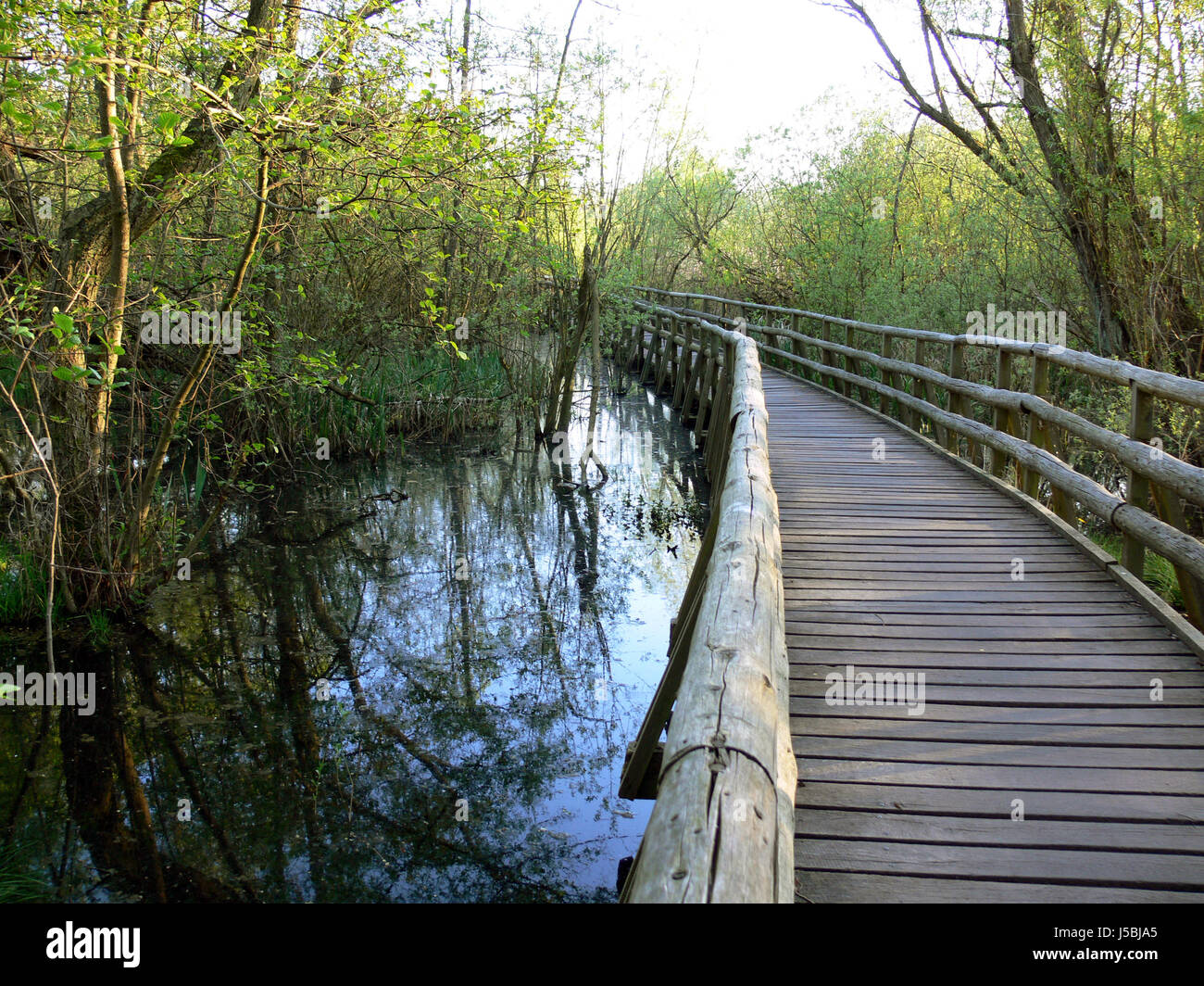 go on water Stock Photo - Alamy