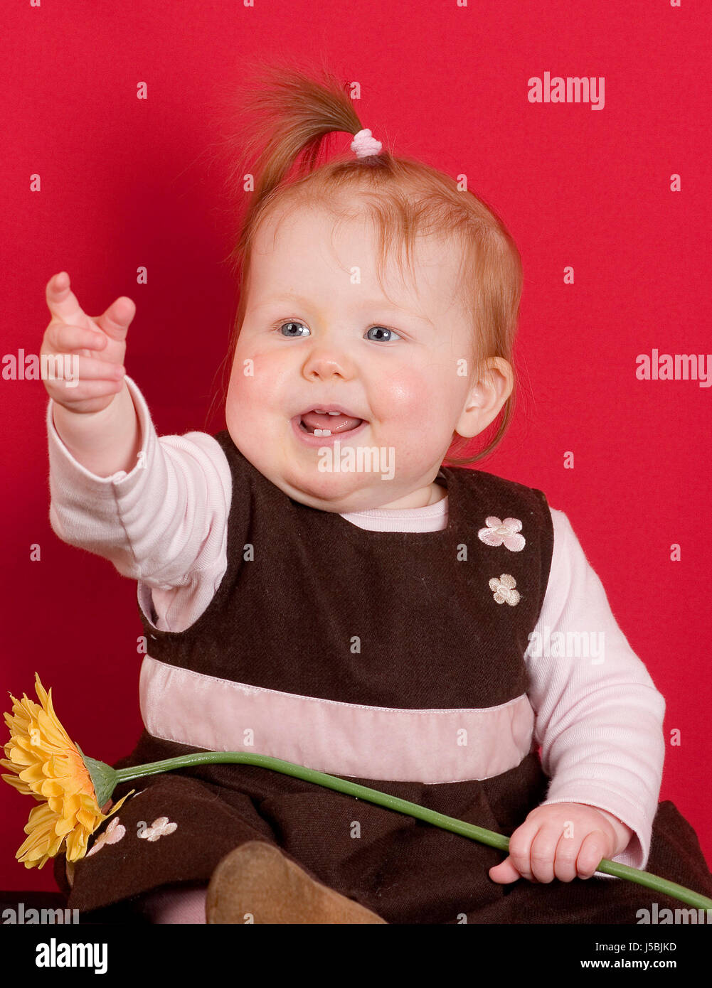 flowers for you Stock Photo - Alamy