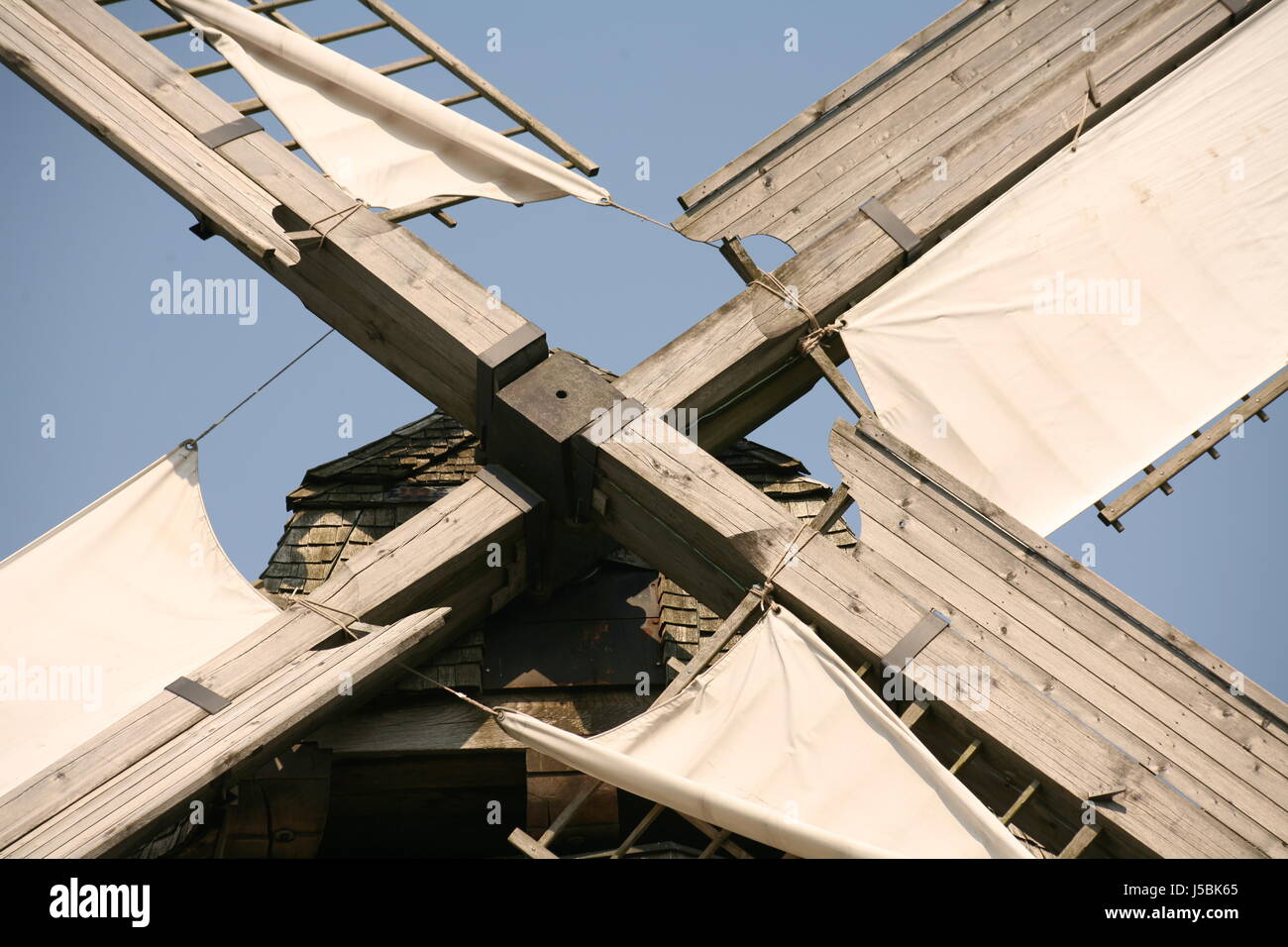 Bluer wings hi-res stock photography and images - Alamy