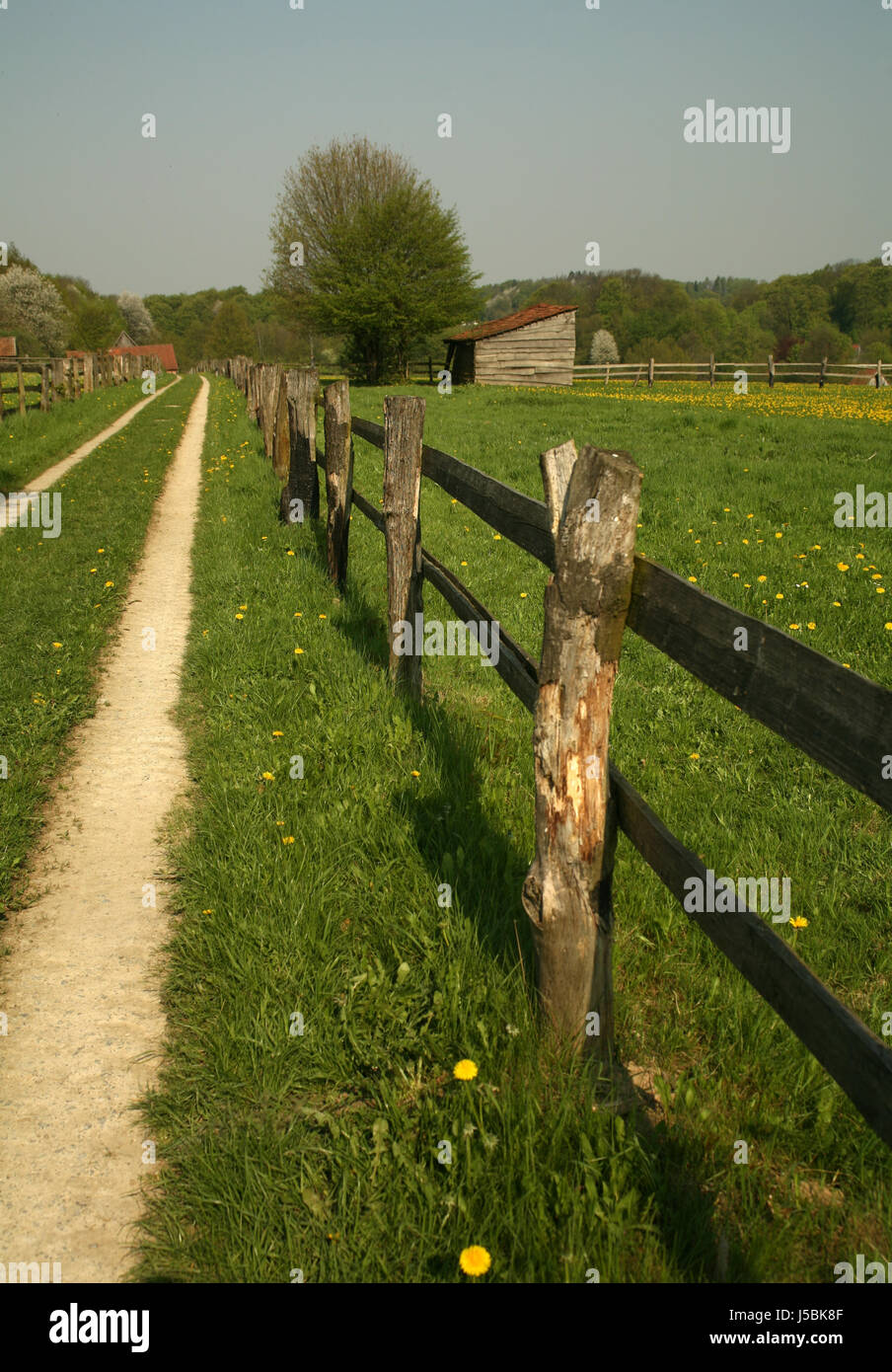 blue bucolic tree dirt road fence fields meadows dandelion stable ...