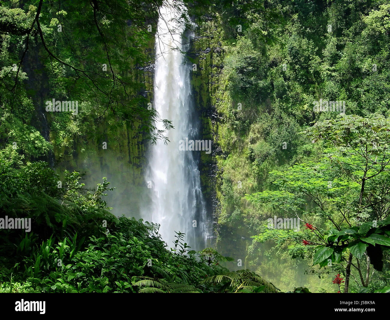 fog waterfall tropical rainforest rain forest hawaii water isle island ...