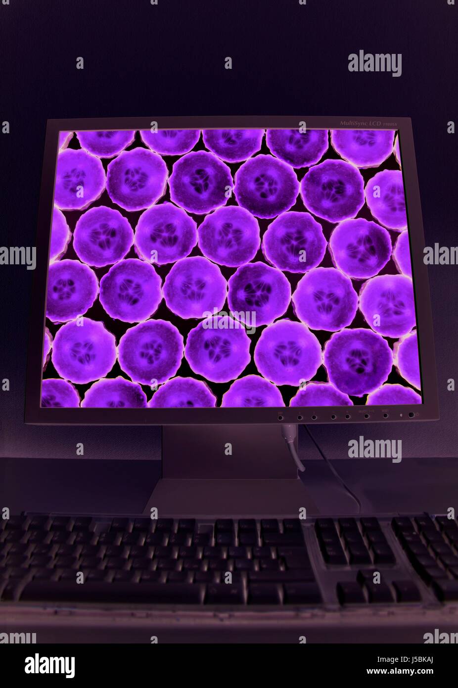 Grkenmaske hi-res stock photography and images - Alamy