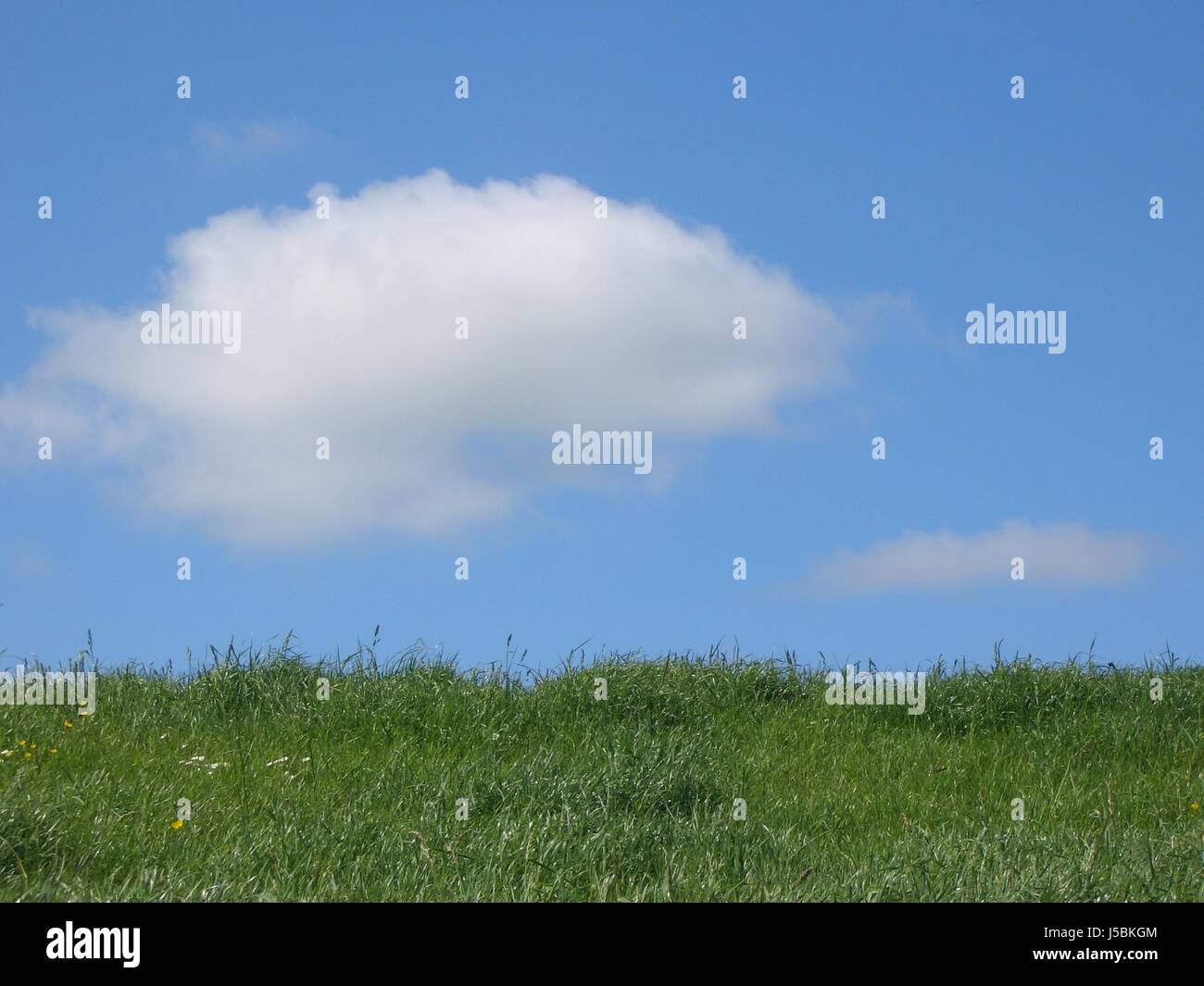 blue environment enviroment green water north sea salt water sea ocean ...