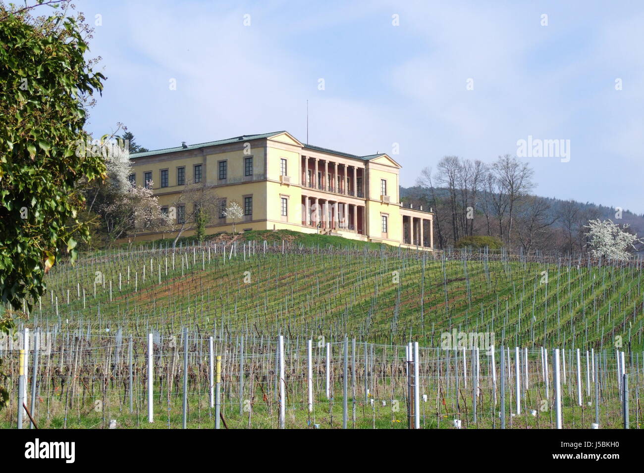 historical sights vineyards sightseeing vineyard vines museum villa ...