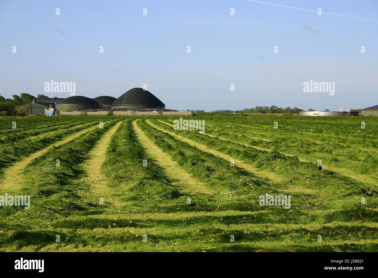 agriculture farming field fields Northern Germany hay mowed lawn green ...
