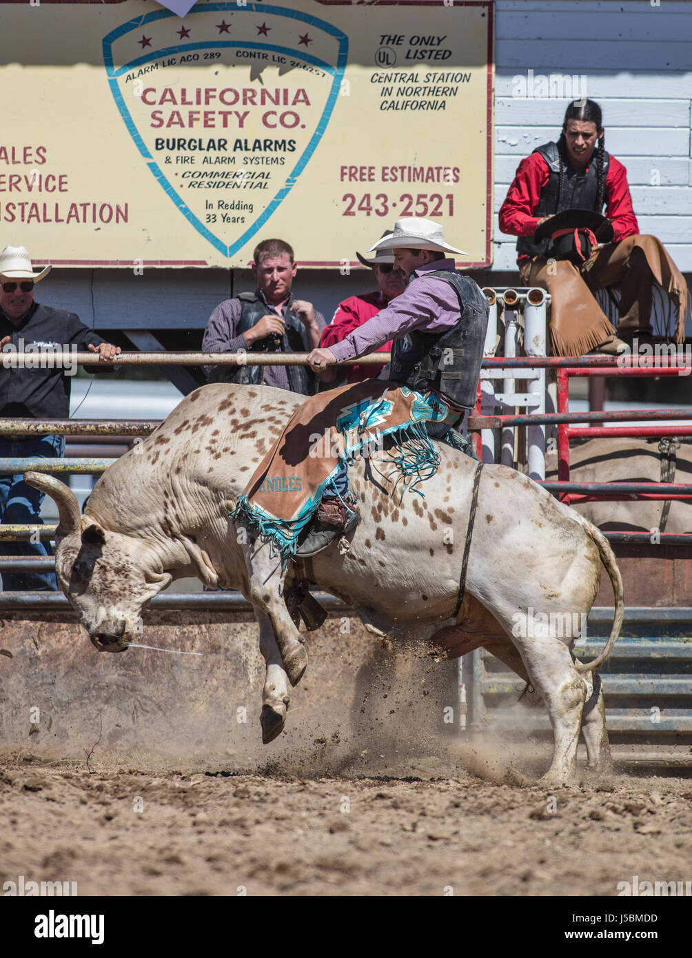 Bull riding cowboys at the rodeo in Cottonwood, California Stock Photo ...