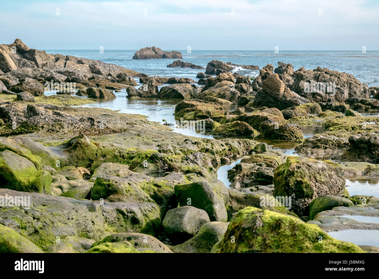 Rocky beach and tidepools by the sea Stock Photo - Alamy