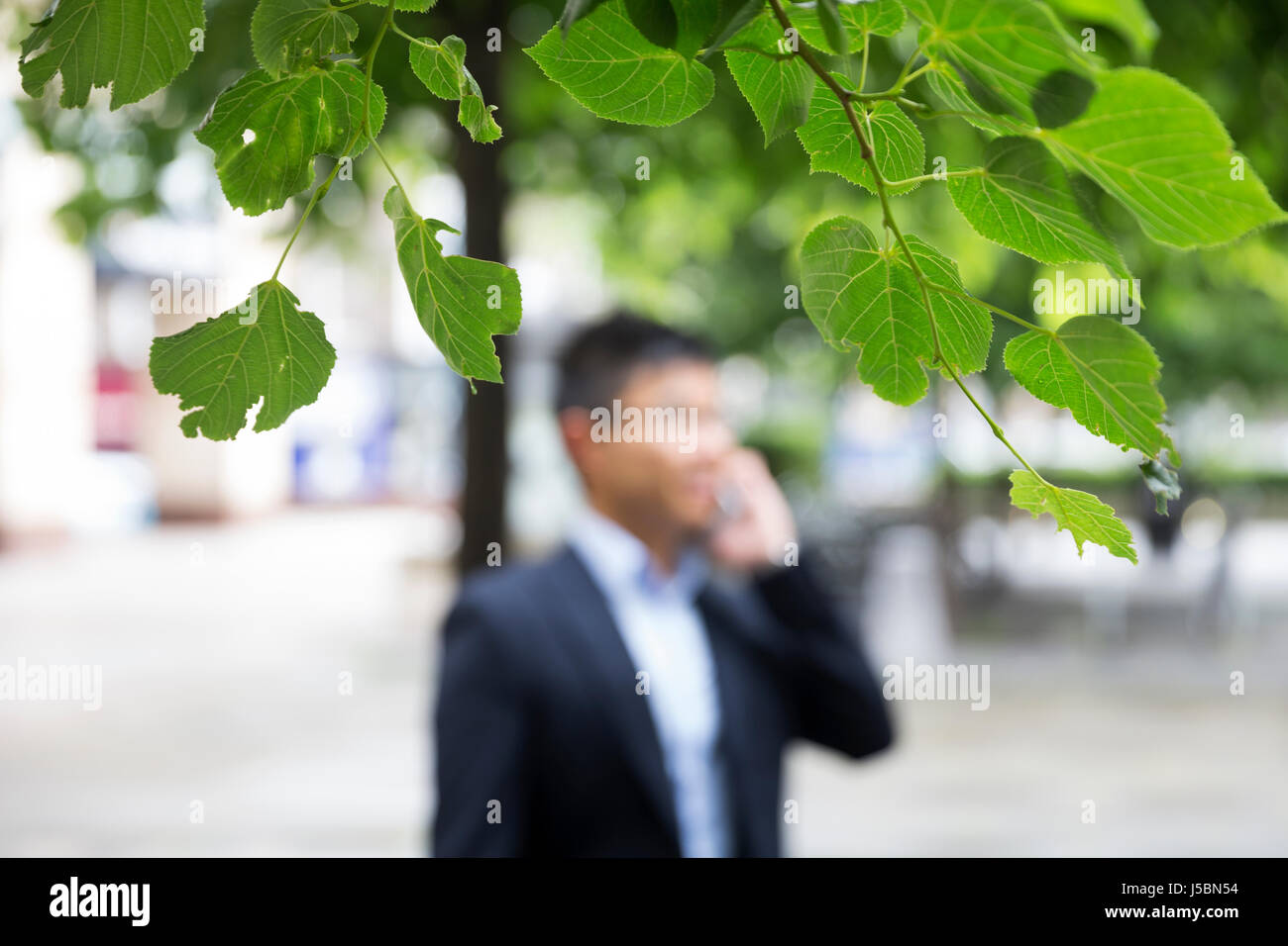 Focus is on tree leaves in forground, with Chinese business Man using ...