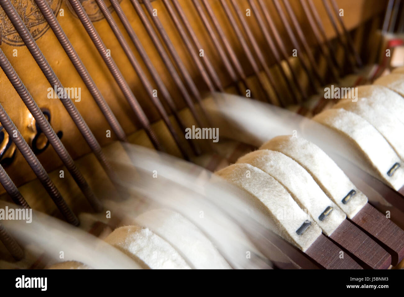 blue concert music game tournament play playing plays played musical ...