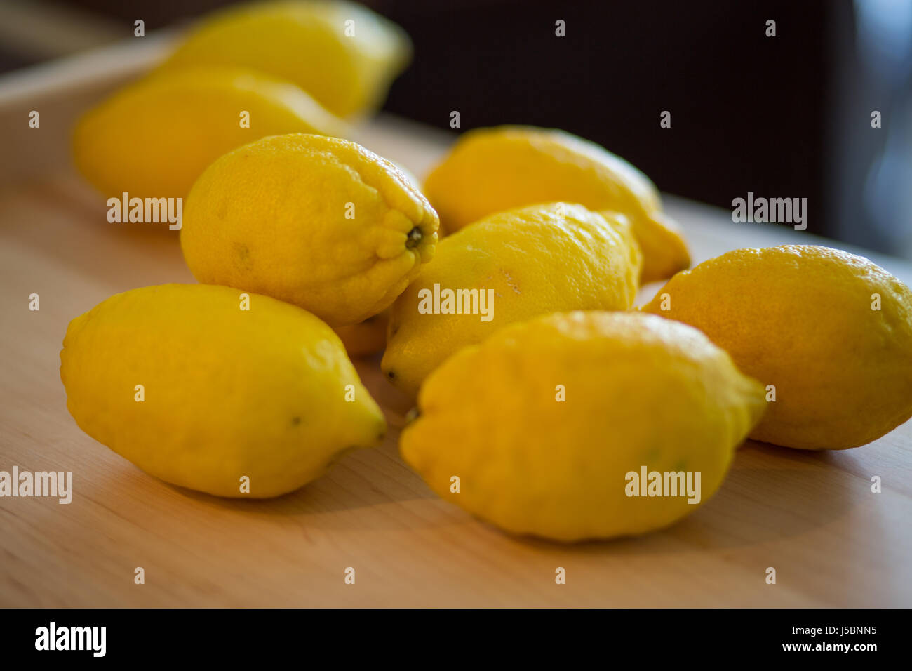 Lemon Party Politics