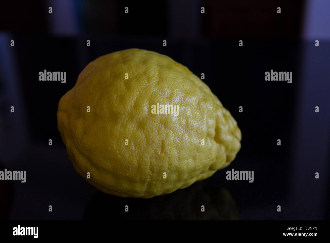 A Beautiful Giant Lemon Stock Photo - Alamy
