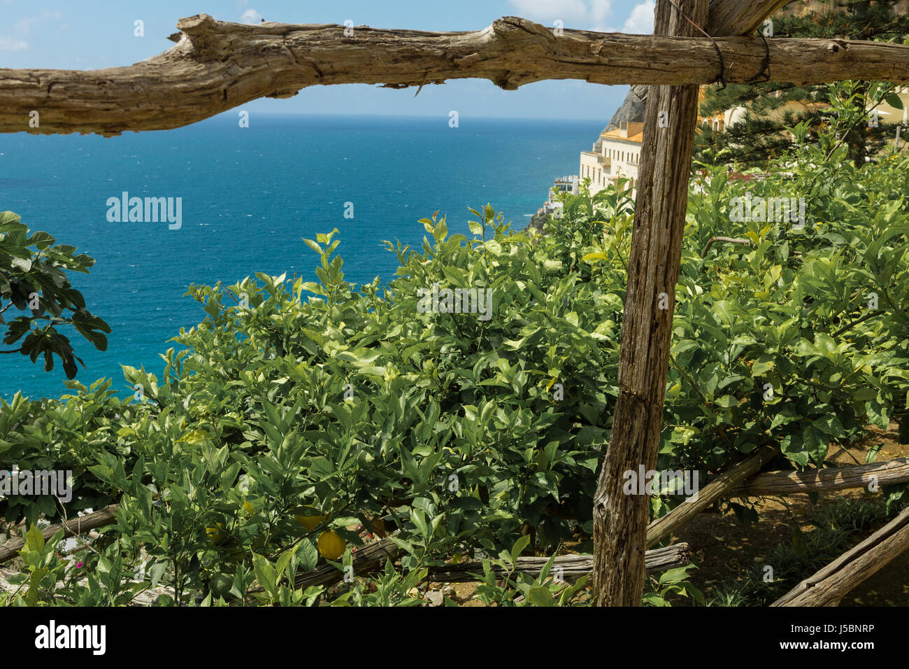 Blue Sea And Lemons Stock Photo - Alamy