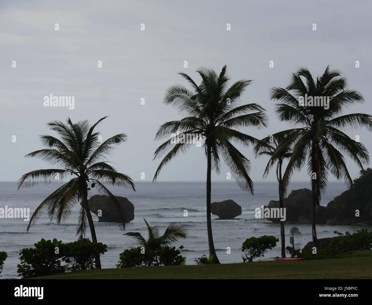 Its a rainy day in barbados hi-res stock photography and images - Alamy
