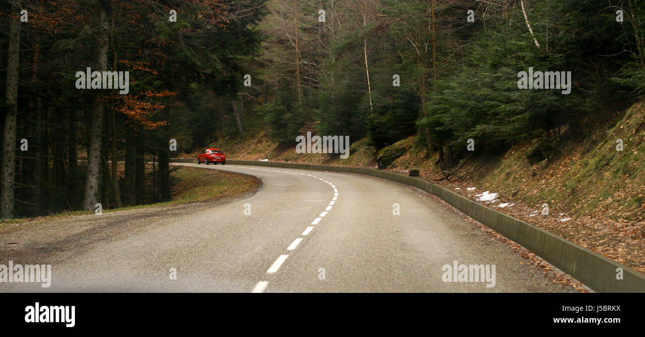 bend frowningly menacing curves curvaceous forest strasse ...