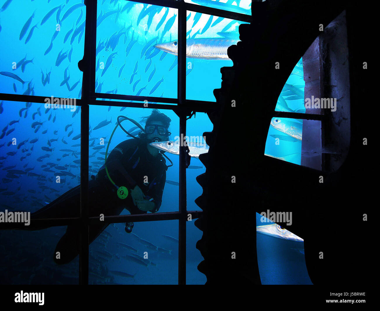 blue research window porthole dormer window pane atlantic ocean salt ...