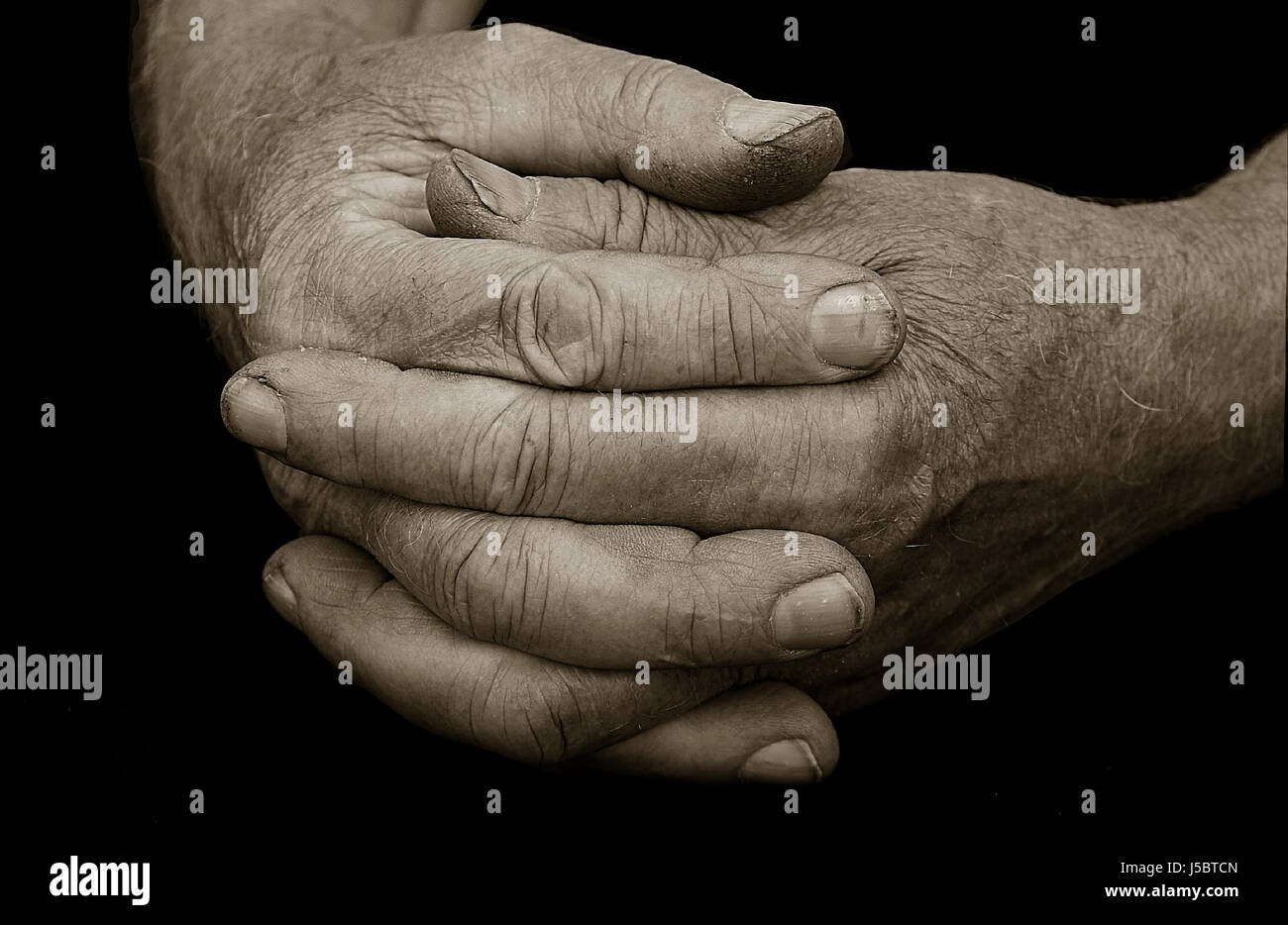 humans human beings people folk persons human human being hand hands ...