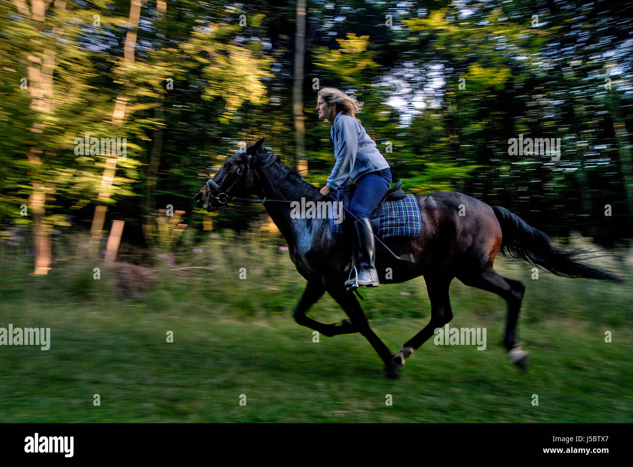 nice and fast Stock Photo - Alamy