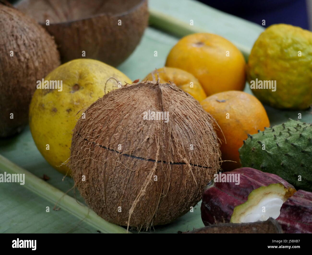 A collection of locally produced fruits including a coconut, cacao ...
