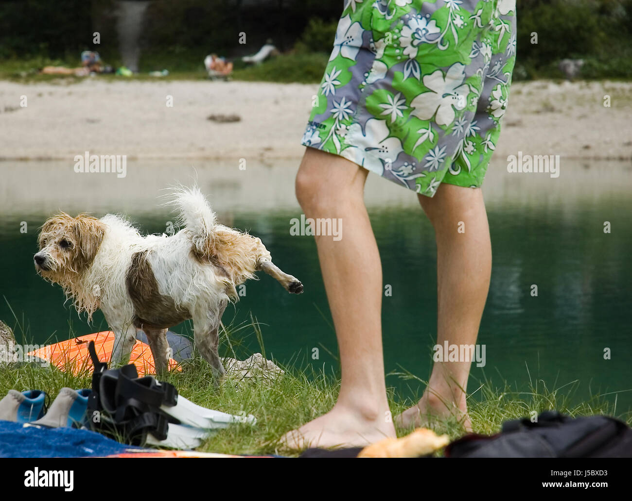 humour animal animals sassy obtrusive brash bold disrespectful naughty ...