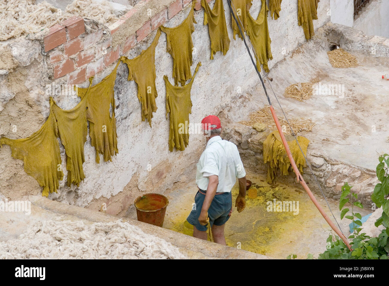 dyeing with saffron Stock Photo - Alamy