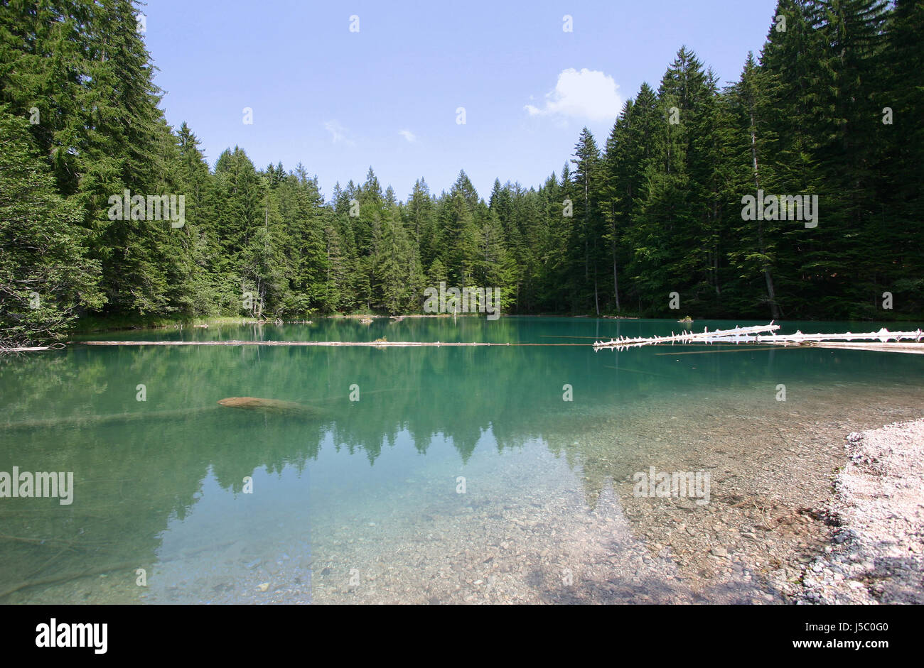 still rest of the lake Stock Photo - Alamy