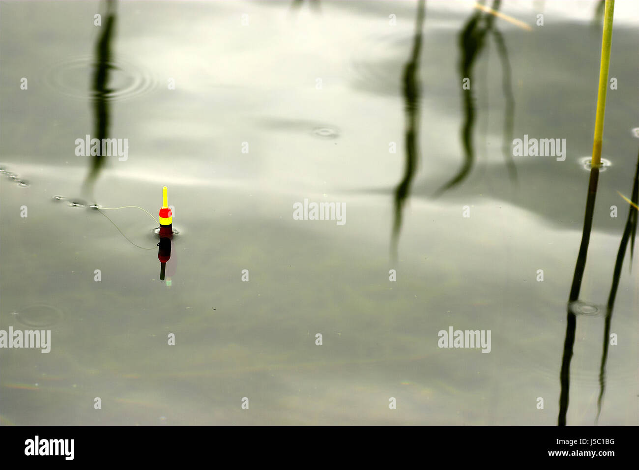 fish angle fisherman pisces rod fresh water lake inland water water ...