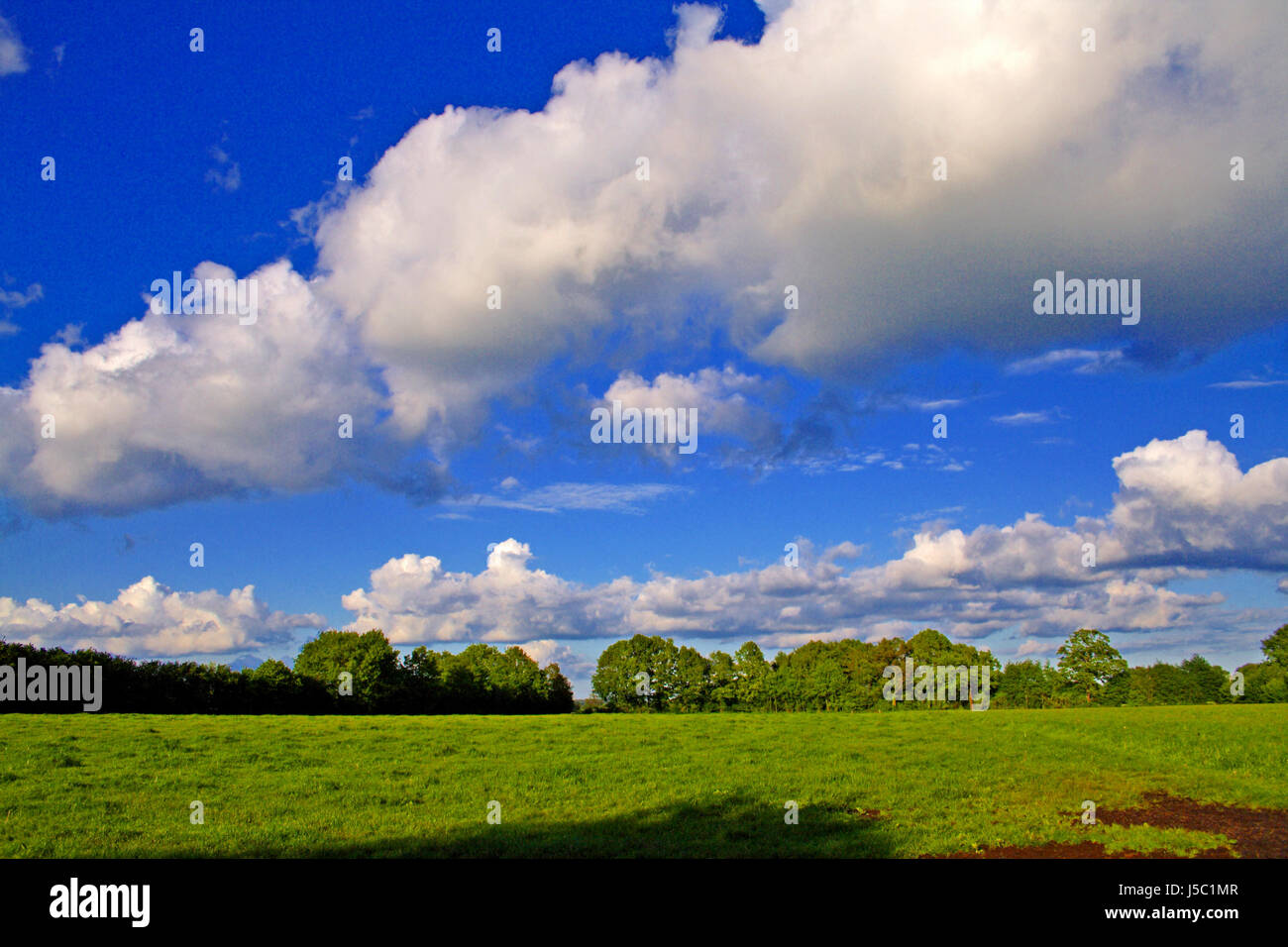 pure 1 landscape Stock Photo - Alamy