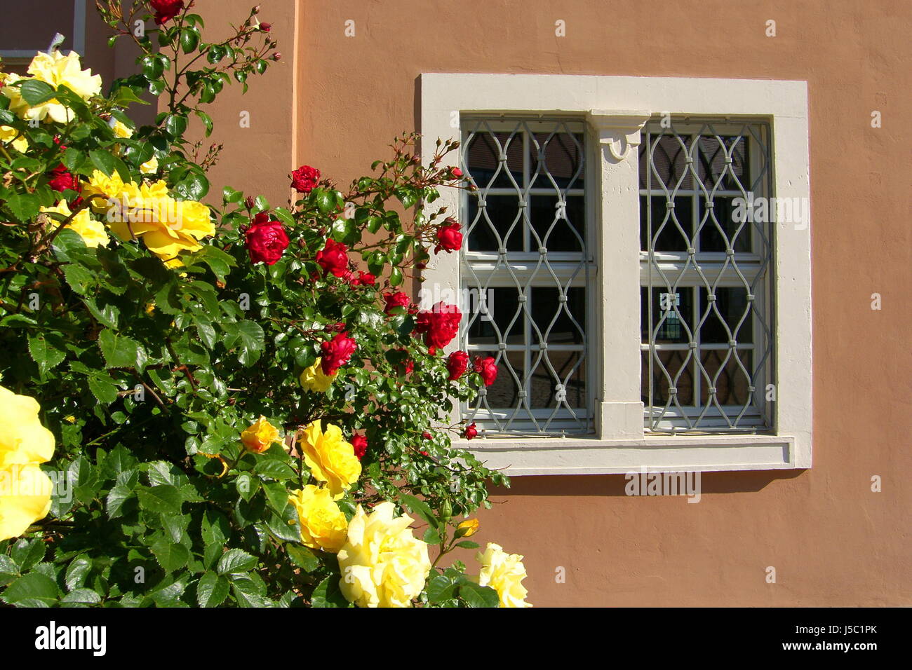window with flowers Stock Photo - Alamy