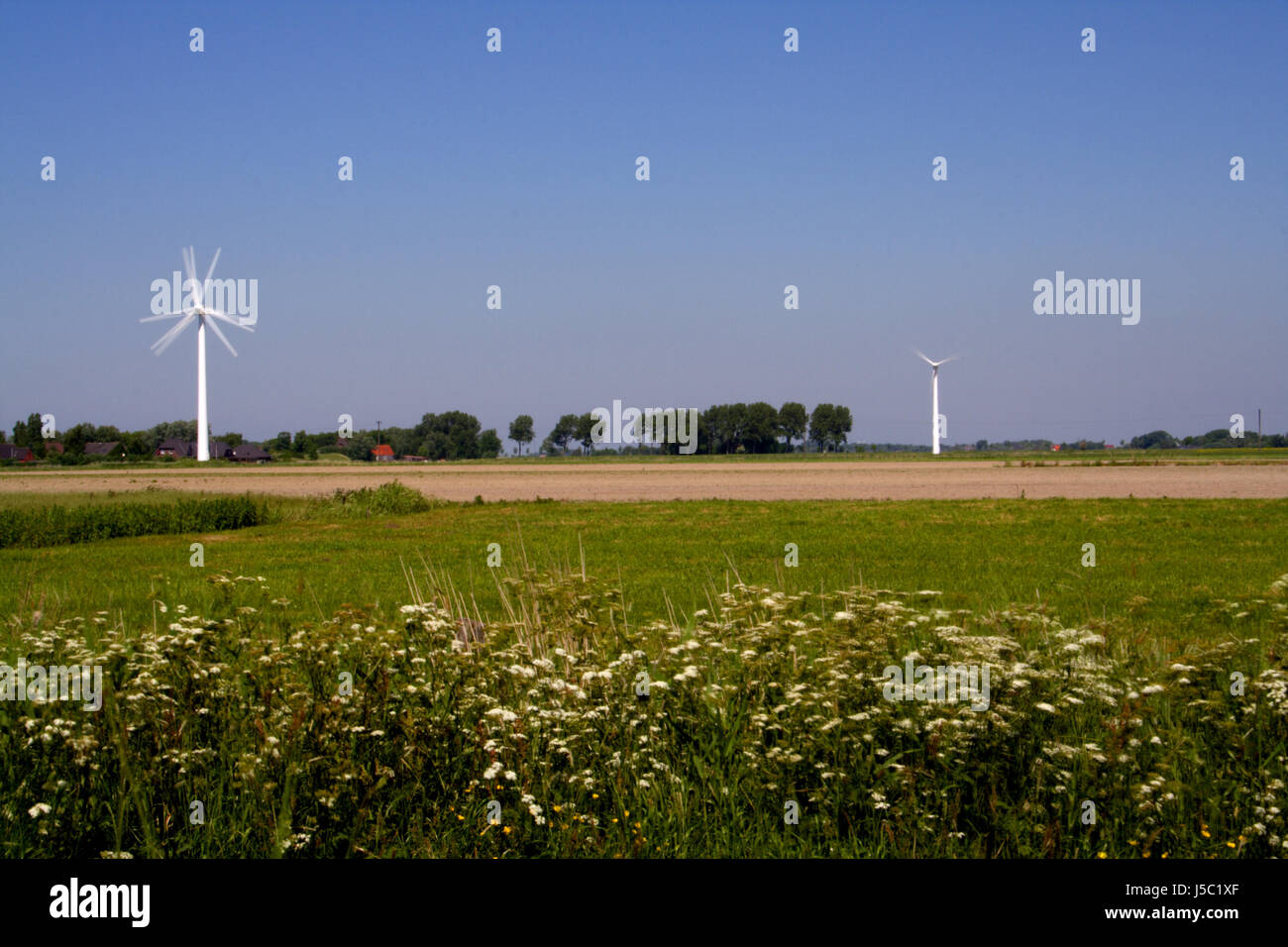 wind force 2 Stock Photo - Alamy
